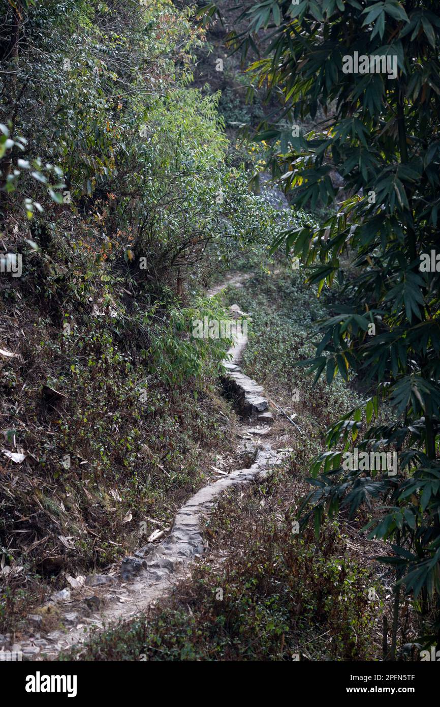 Chepang Hills Trek in Nepal Stock Photo - Alamy