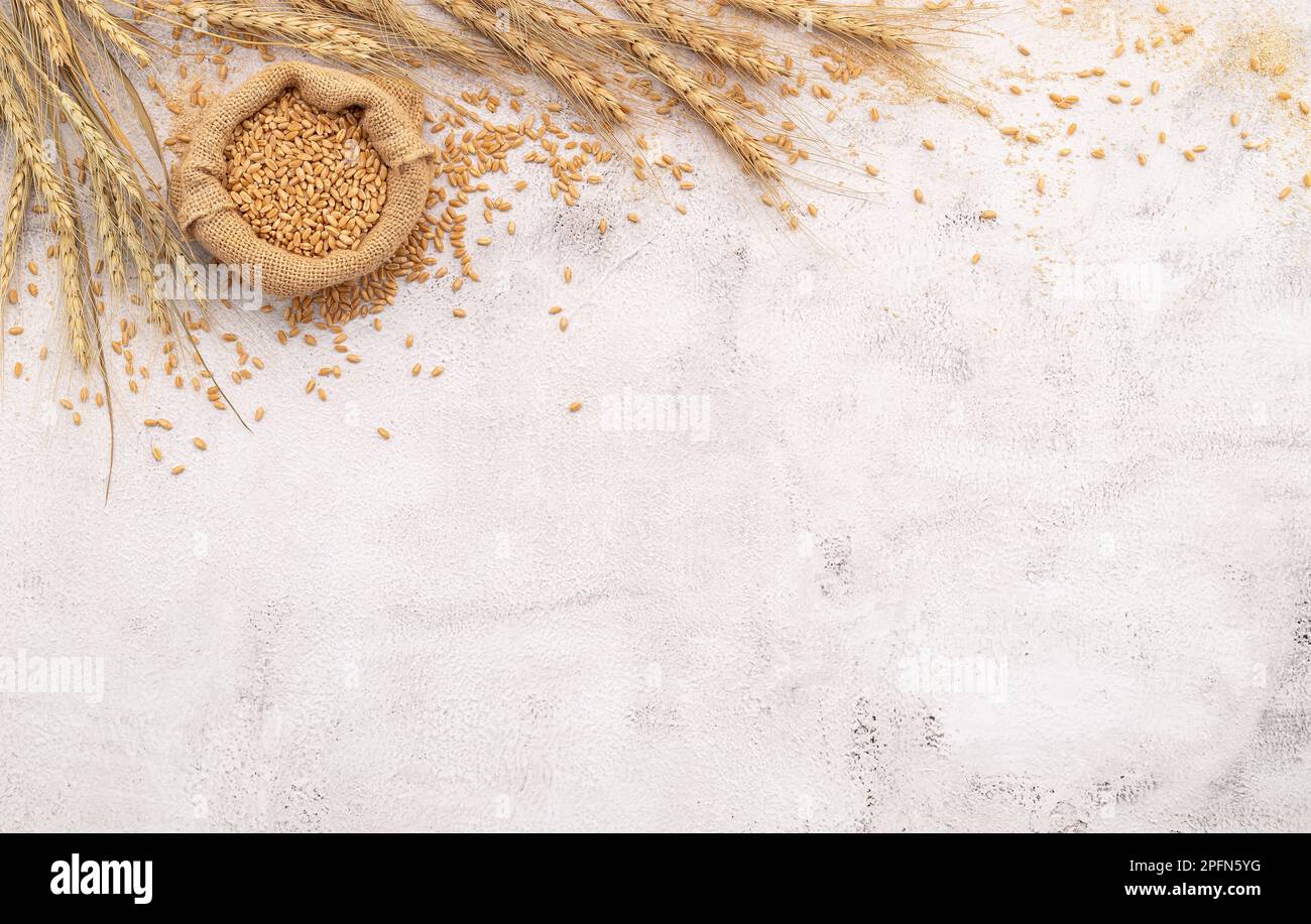 Wheat ears and wheat grains set up on white concrete background Stock ...