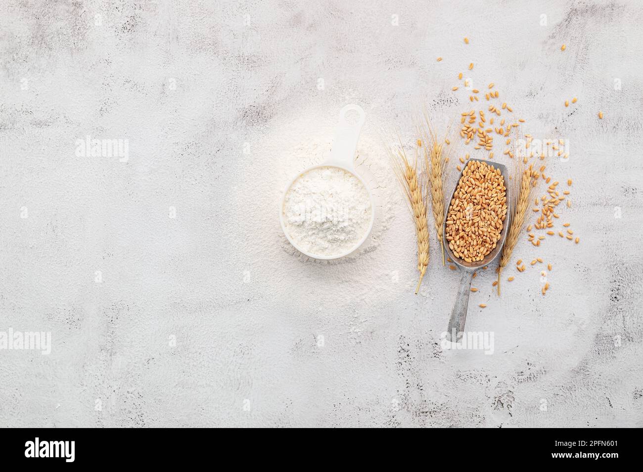Wheat grains and white wheat flour in measure bowl set up on white ...