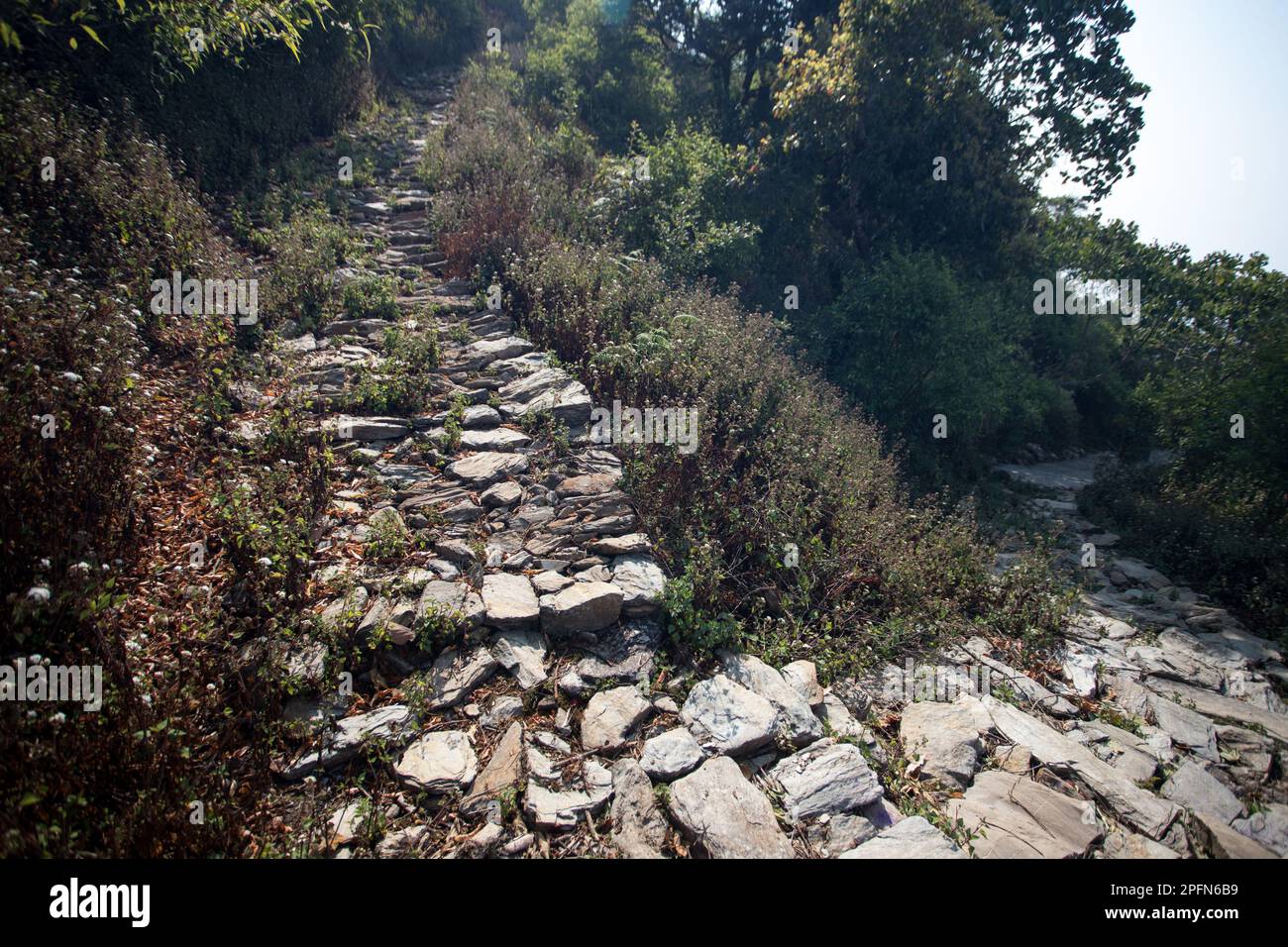 Chepang of nepal hi-res stock photography and images - Alamy