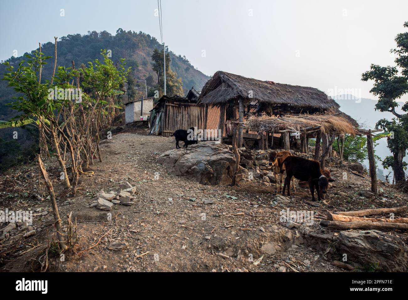 Chepang of nepal hi-res stock photography and images - Alamy