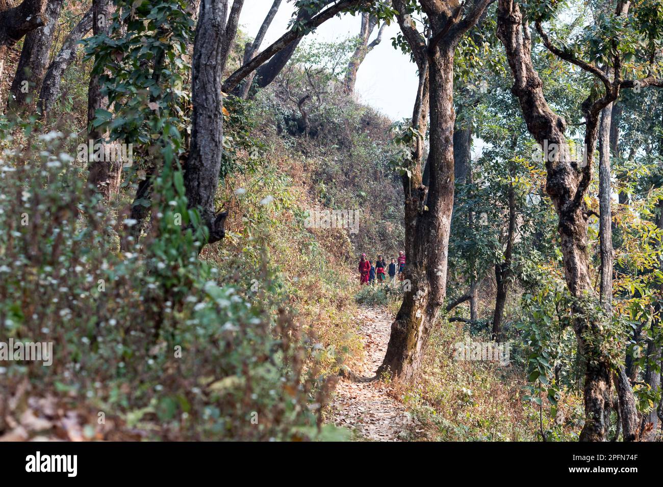 Chepang of nepal hi-res stock photography and images - Alamy
