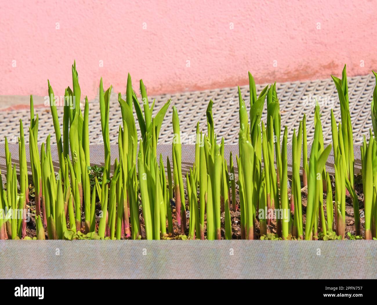 Spiral of decline hi-res stock photography and images - Alamy