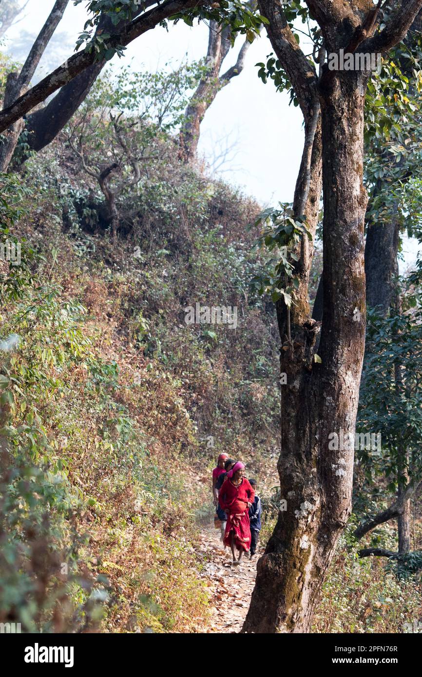 Chepang Hills Trek in Nepal Stock Photo - Alamy