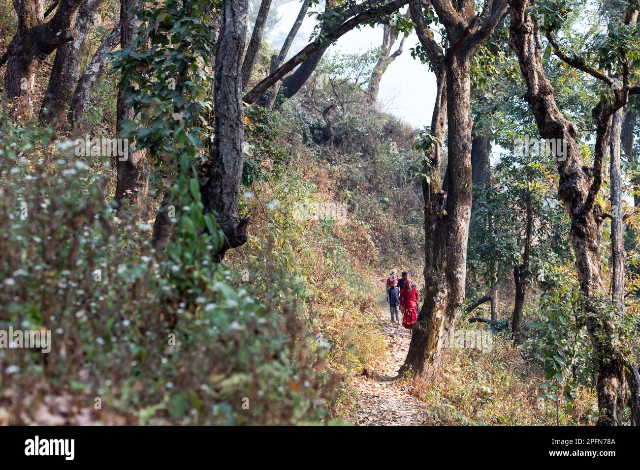 Chepang Hills Trek in Nepal Stock Photo - Alamy