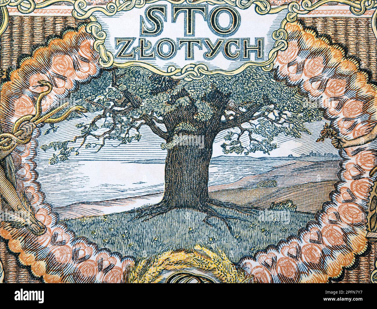 Polish tree hi-res stock photography and images - Alamy