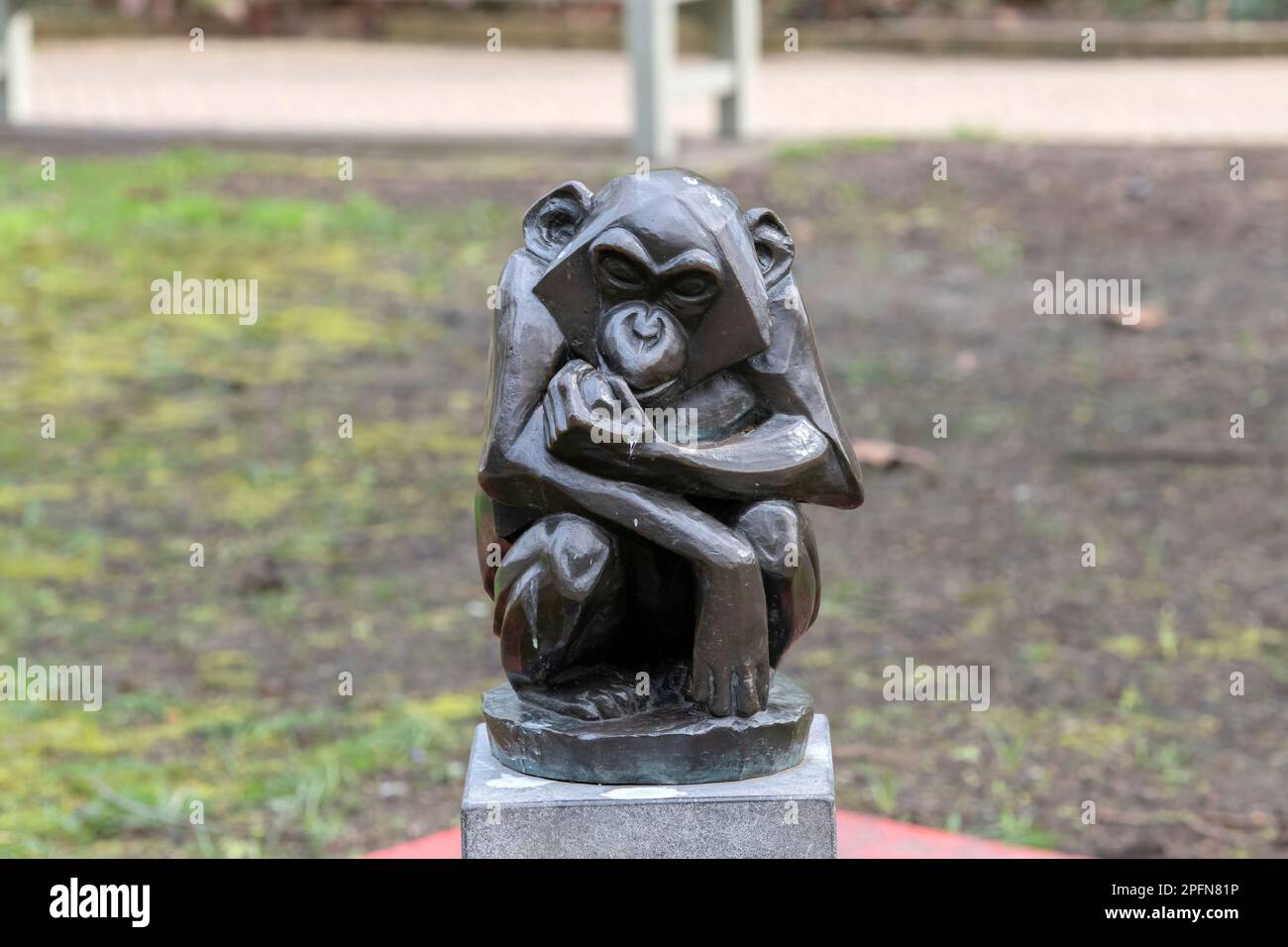 Statue Bonobo Mafuka At Amsterdam The Netherlands 17-3-2023 Stock Photo ...