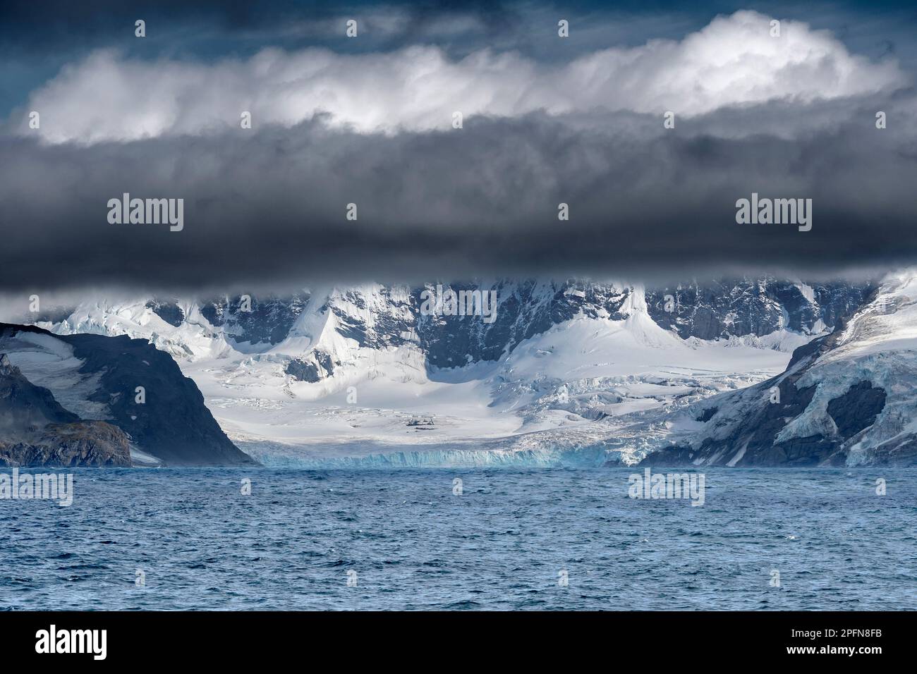 South Georgia environment Stock Photo - Alamy