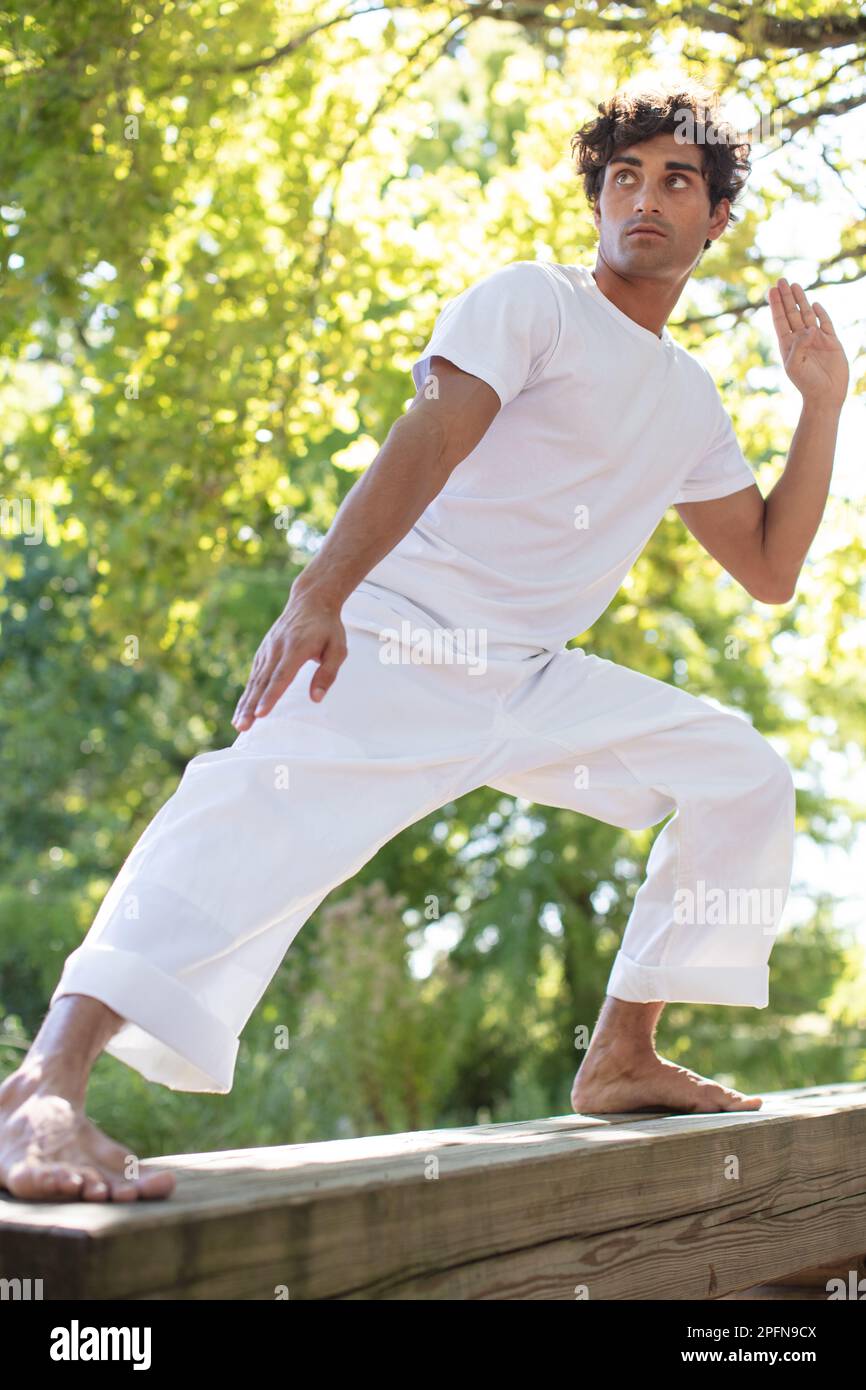 handsome man practicing thai chi Stock Photo - Alamy