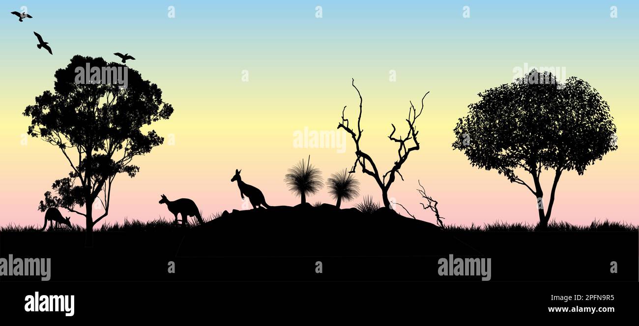 Silhouette of Grass tree and gum trees at sunset with kangaroos. Vector ...