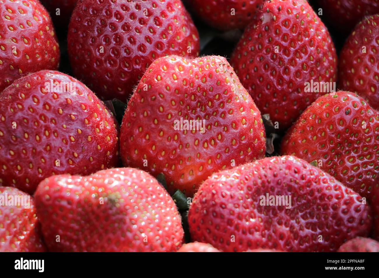 Strawberry...The fruit is , bright red color, juicy texture, and ...