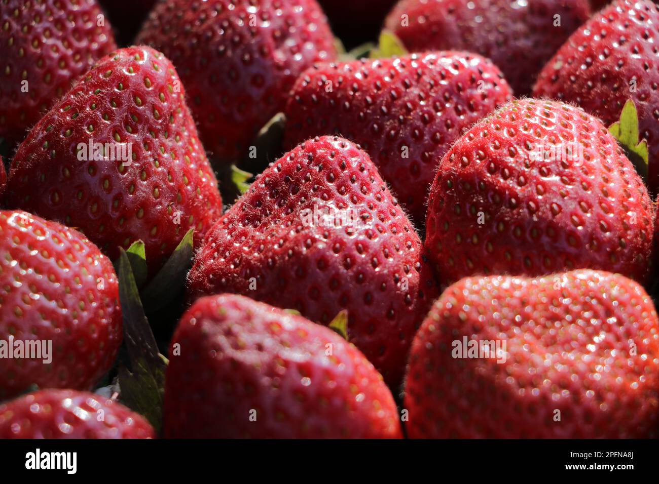 Strawberry...The fruit is , bright red color, juicy texture, and ...