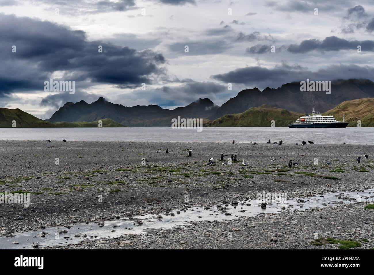 Stromness bay antarctica hi-res stock photography and images - Alamy