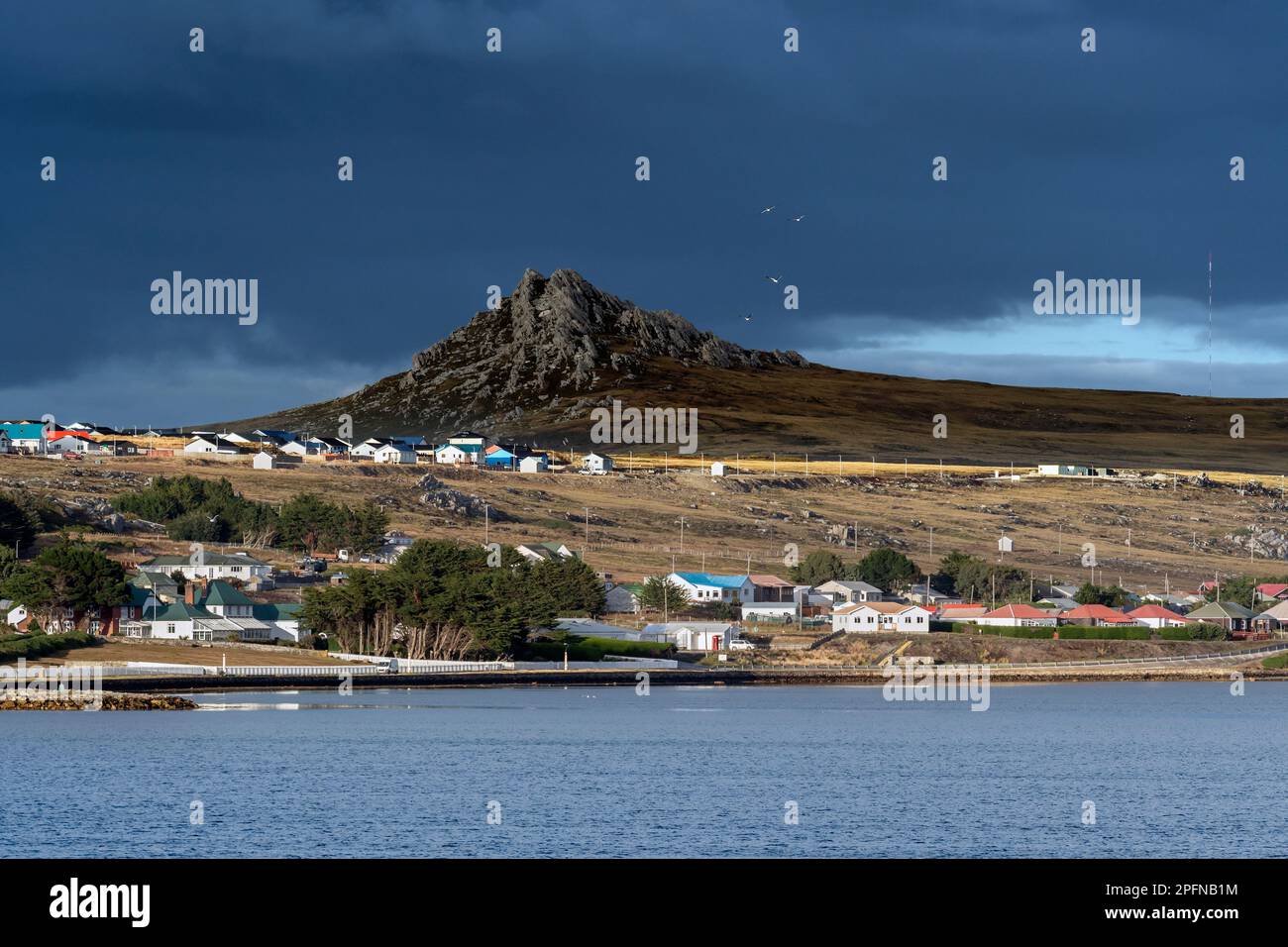 Falkland islands landscape hi-res stock photography and images - Alamy