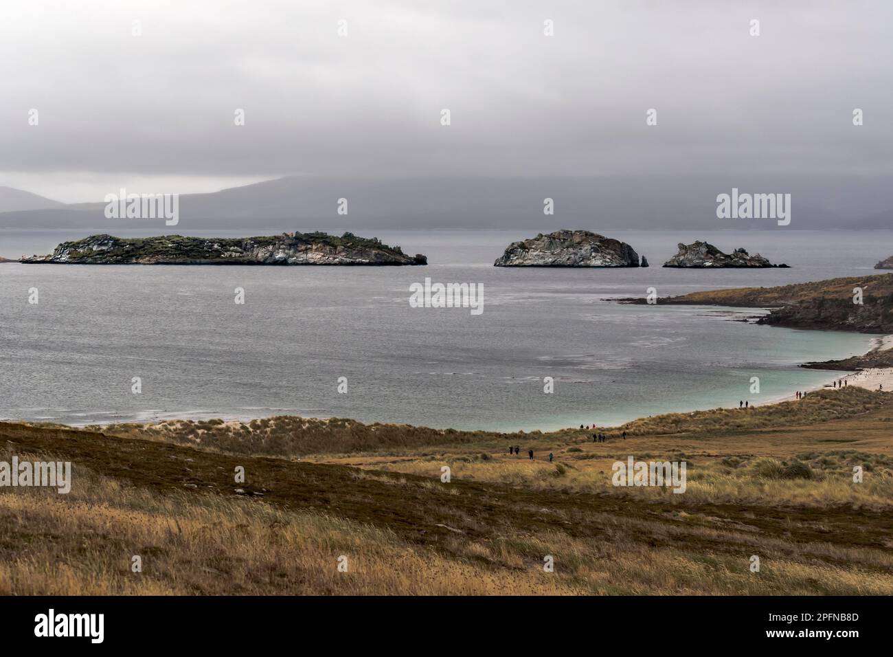 Falkland islands landscape hi-res stock photography and images - Alamy