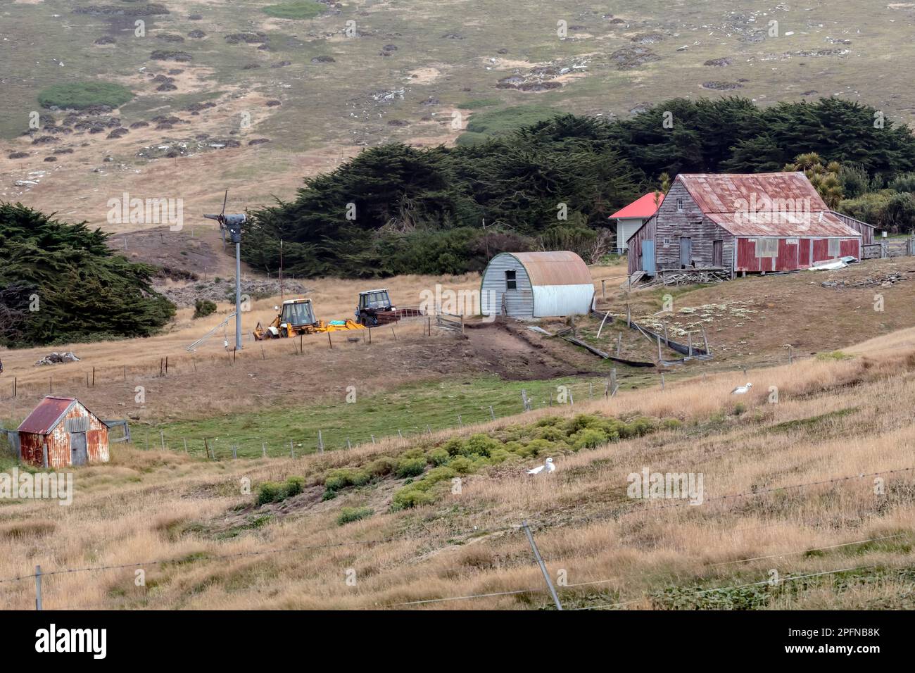 Falkland Island Farms