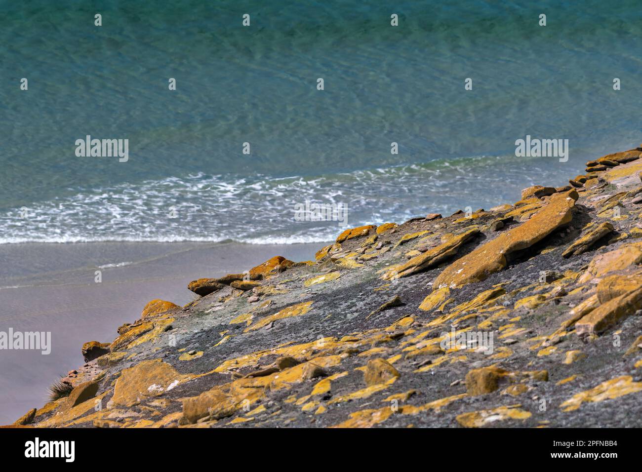 Falkland Islands, Saunders island. Landscape Stock Photo - Alamy