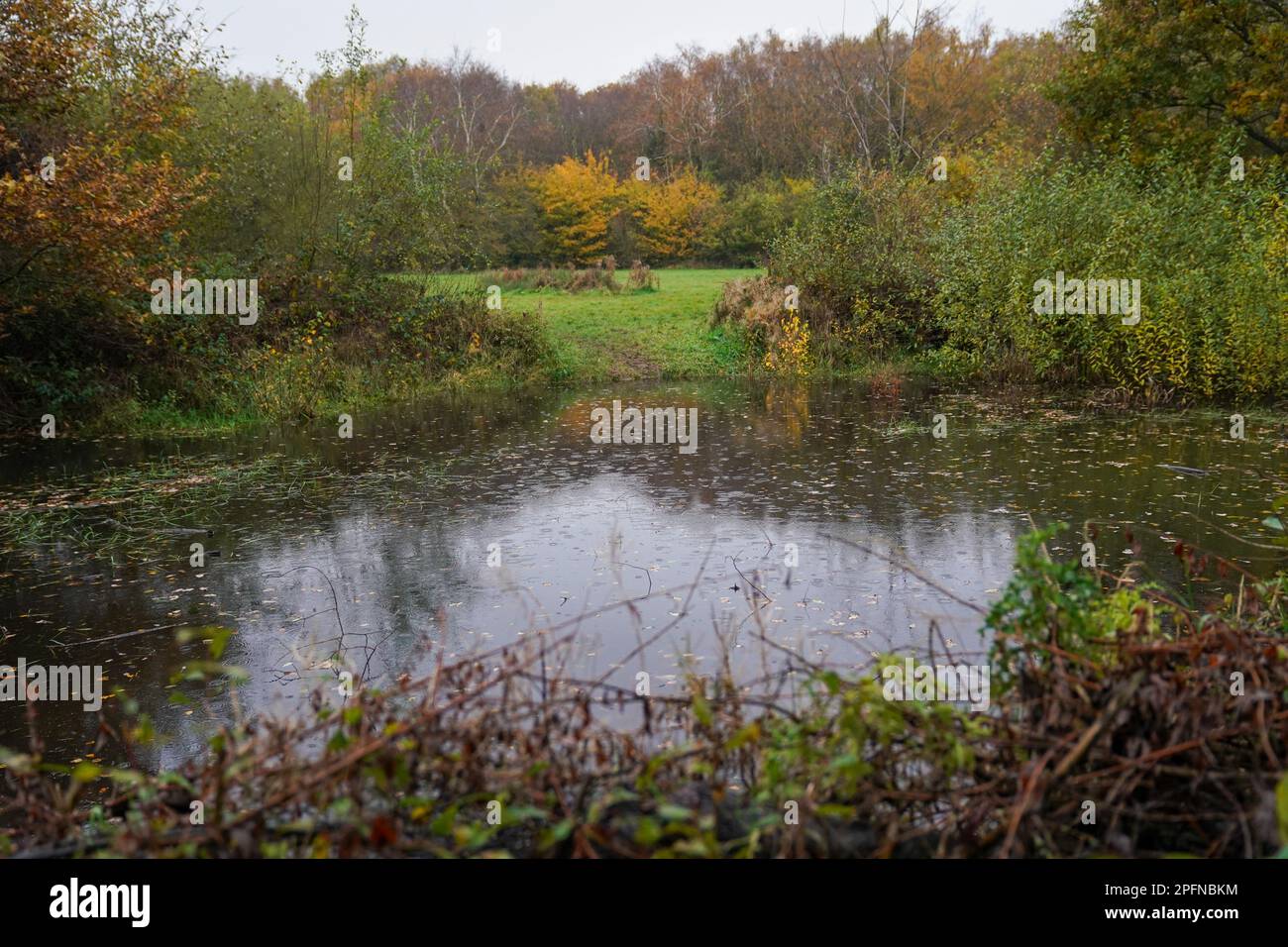 Halewood Park Triangle.Halewood.Knowsley Stock Photo - Alamy