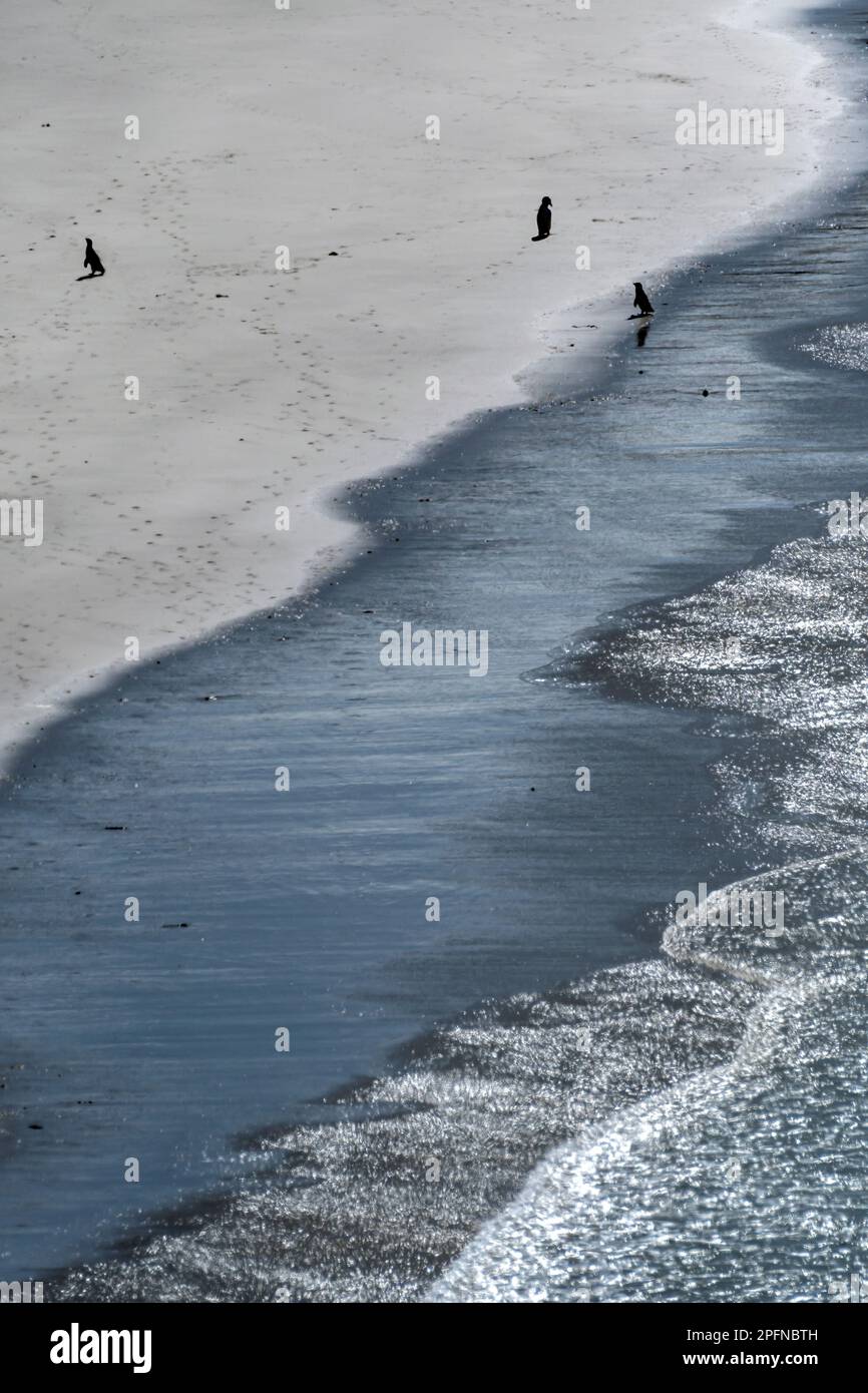 Saunders islands hi-res stock photography and images - Alamy