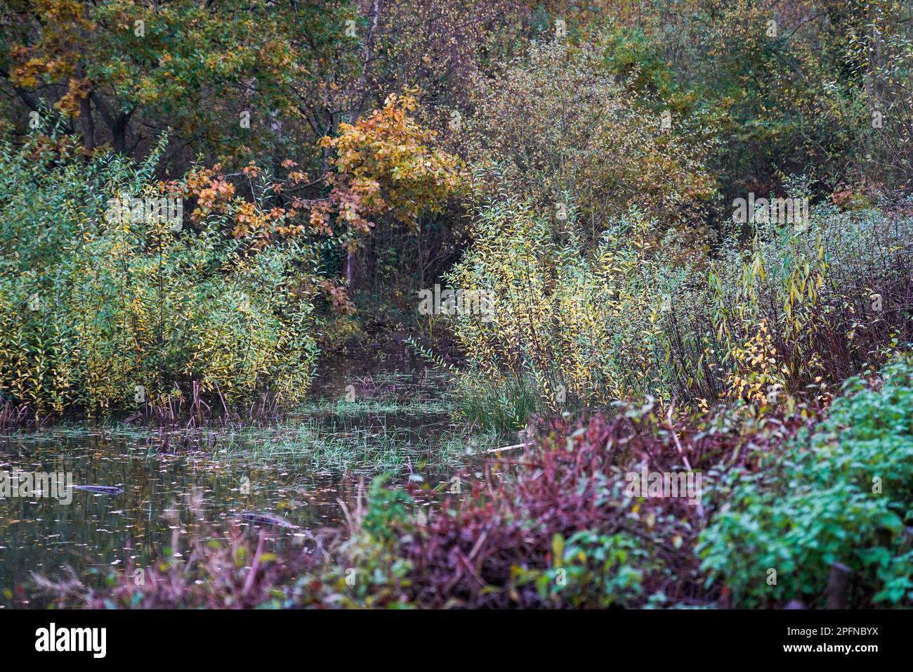 Halewood Park Triangle.Halewood.Knowsley Stock Photo - Alamy