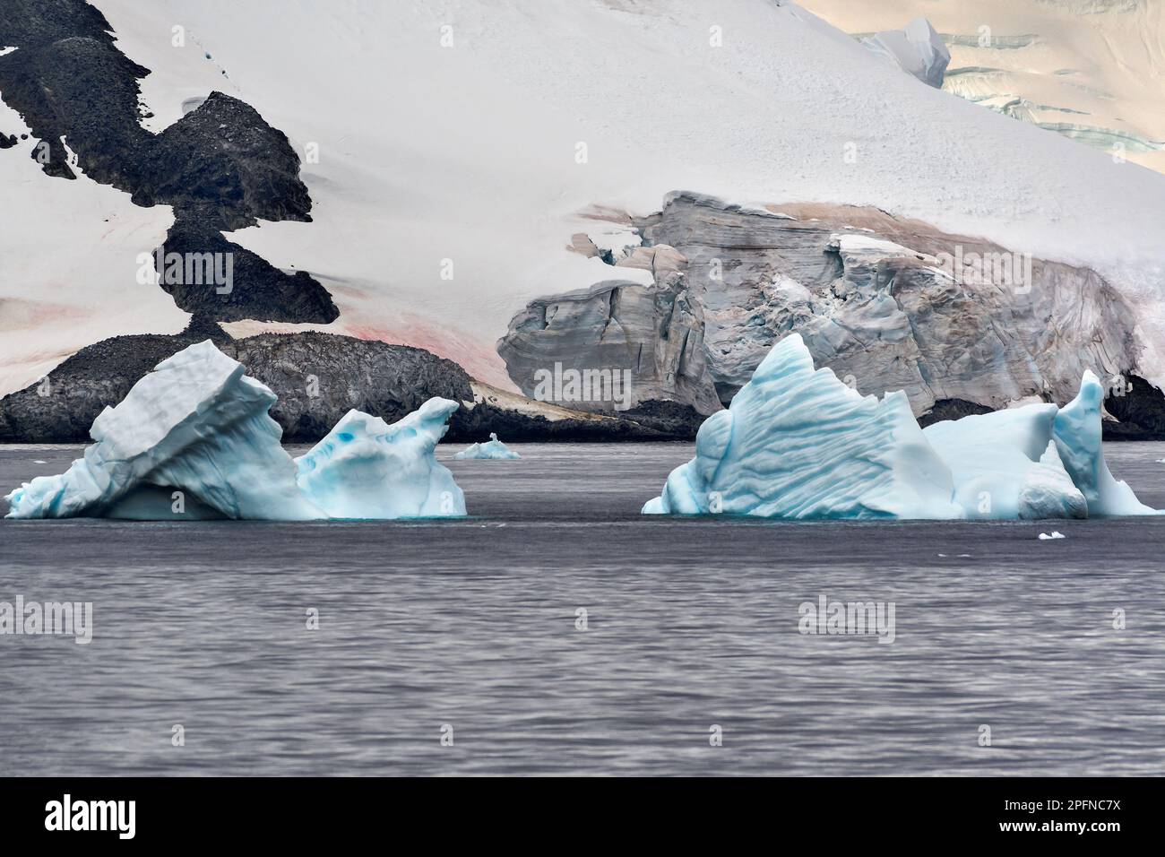 Antarctic Peninsula, Danco island. Icebergs Stock Photo - Alamy