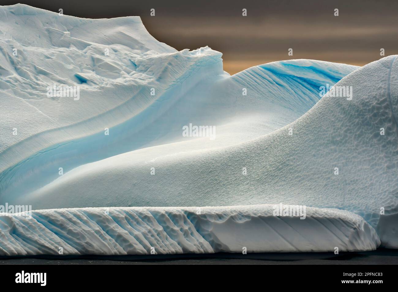 Antarctic Peninsula, Danco island. Icebergs Stock Photo - Alamy