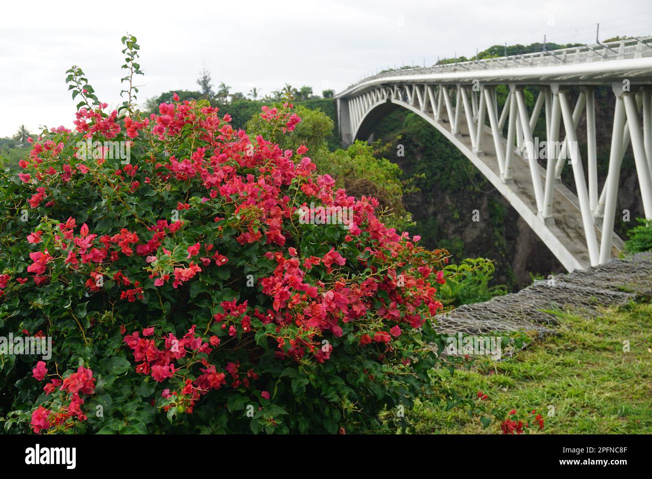 landscape scene of the arch bridge above the river on the tropical ...