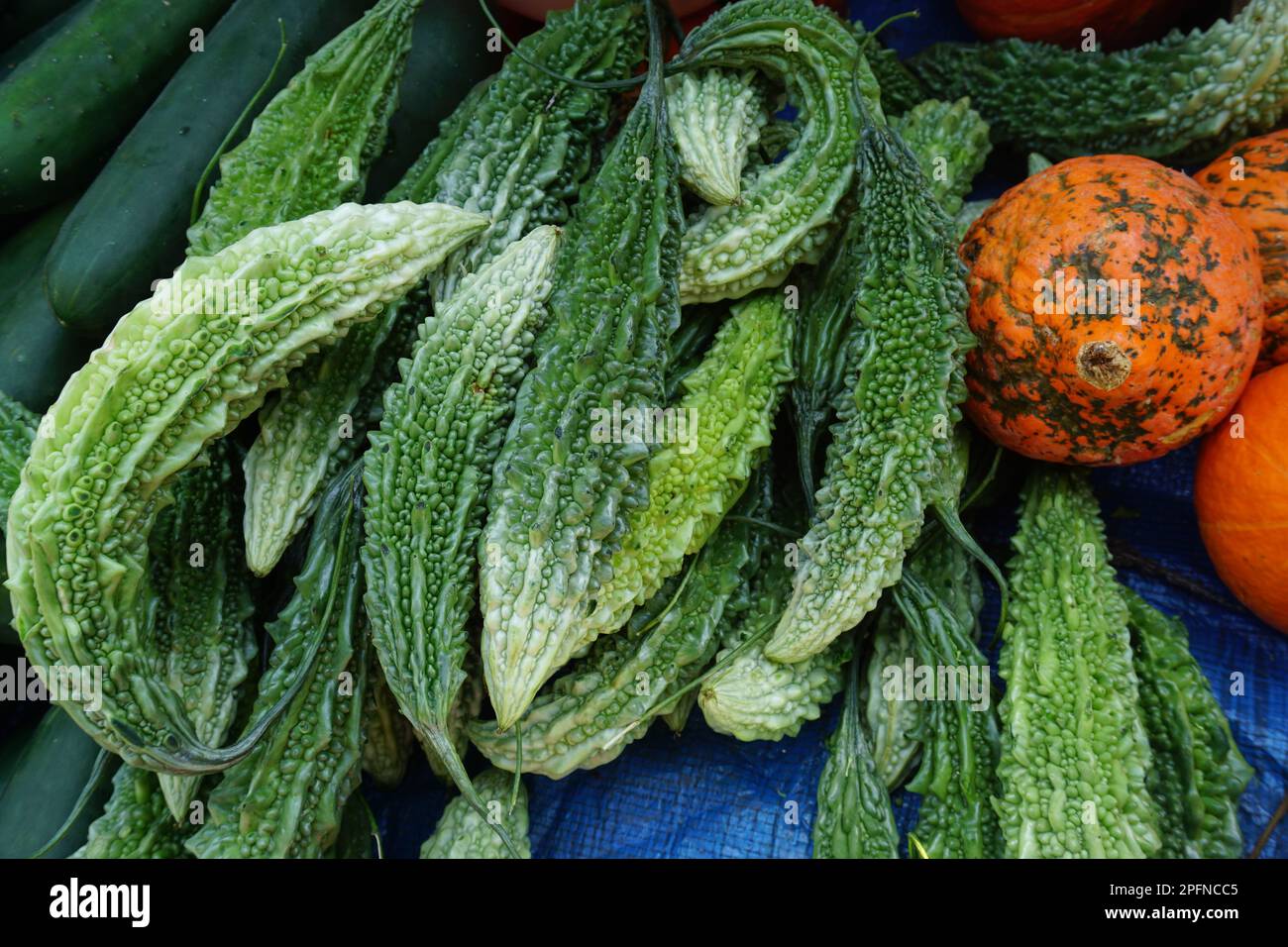 colorful margoz on display at the outdoor market on the tropical island ...