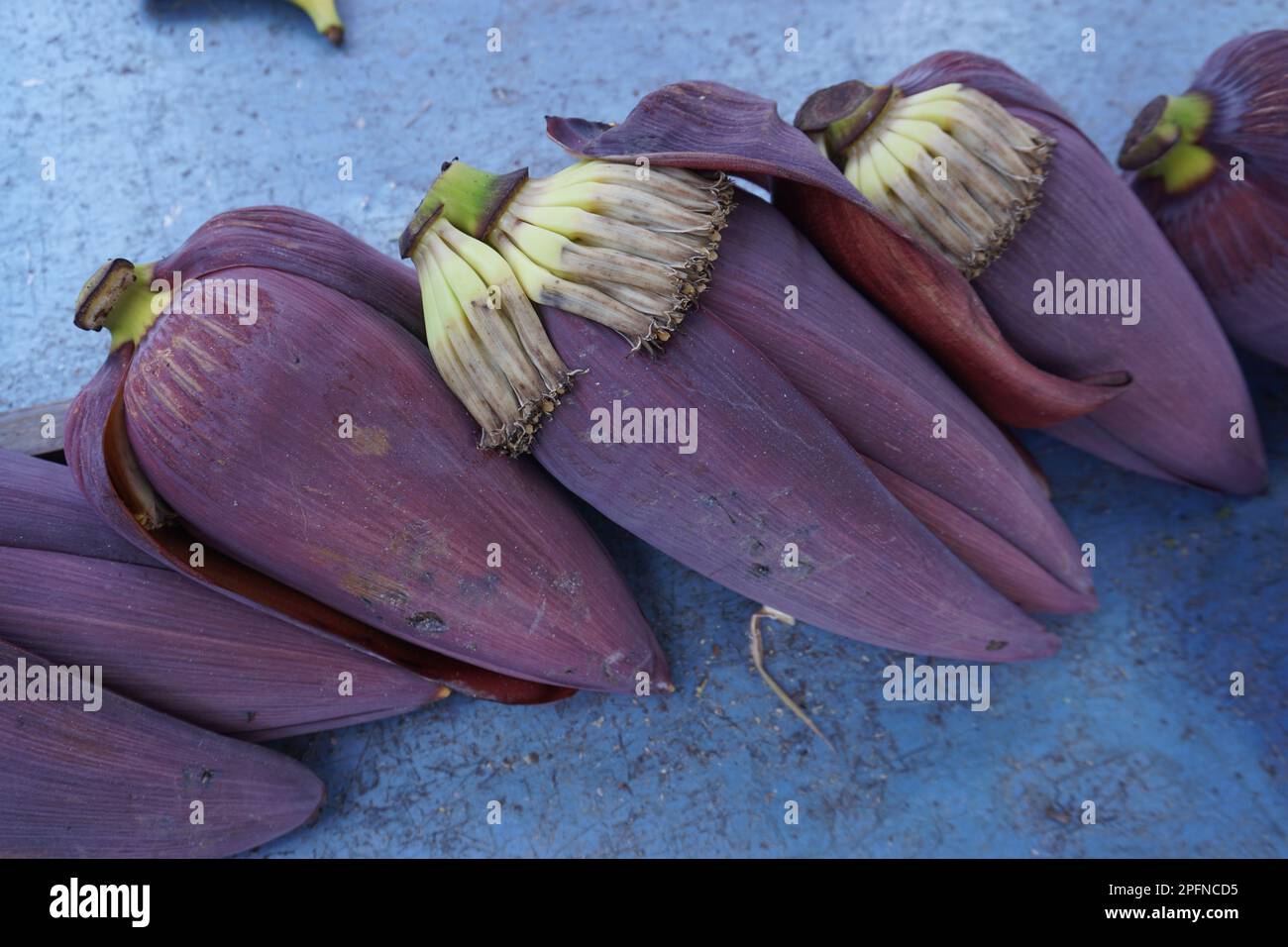 colorful banana flowers on display at the outdoor market on the ...