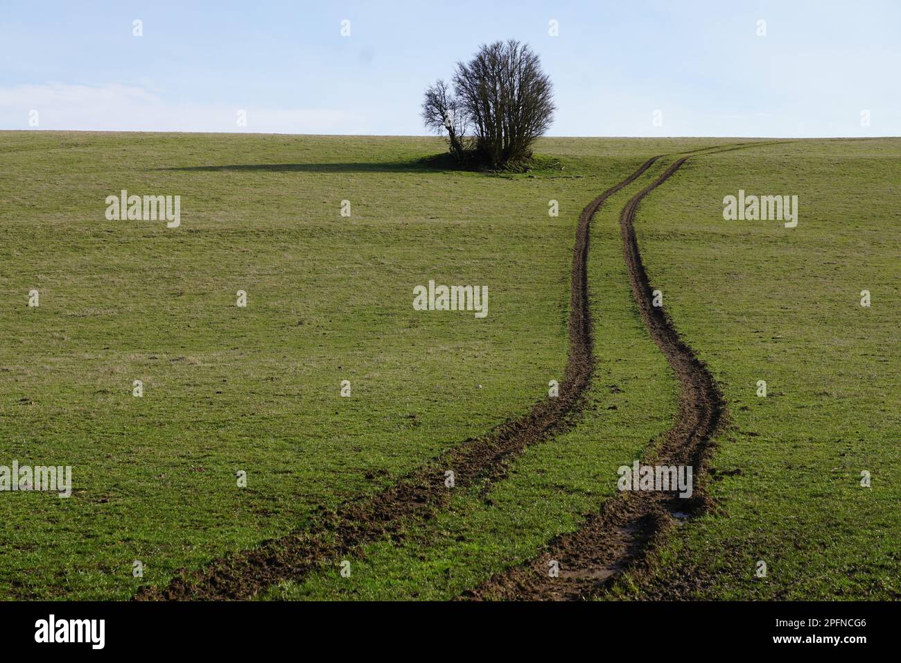 landscape with tire tracks from a tractor in the region of the Pyrénées ...