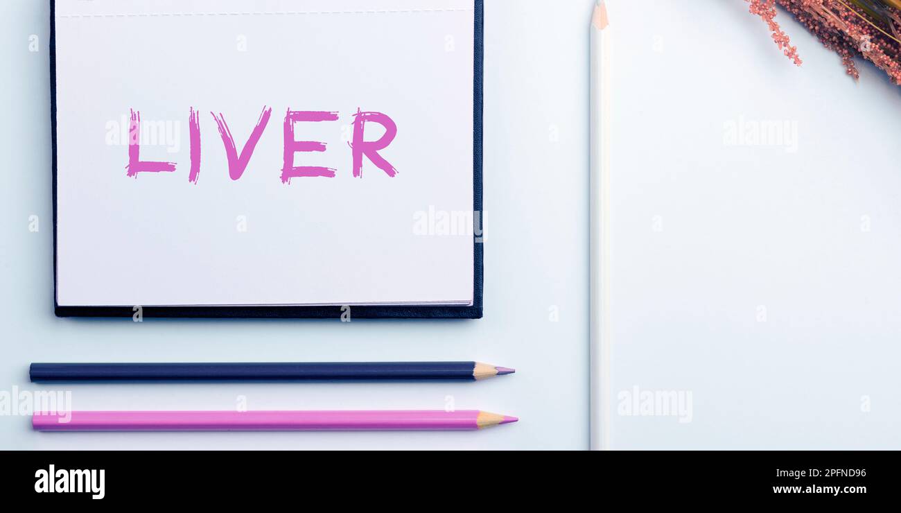 Conceptual display Liver. Word Written on Large lobed glandular organ ...