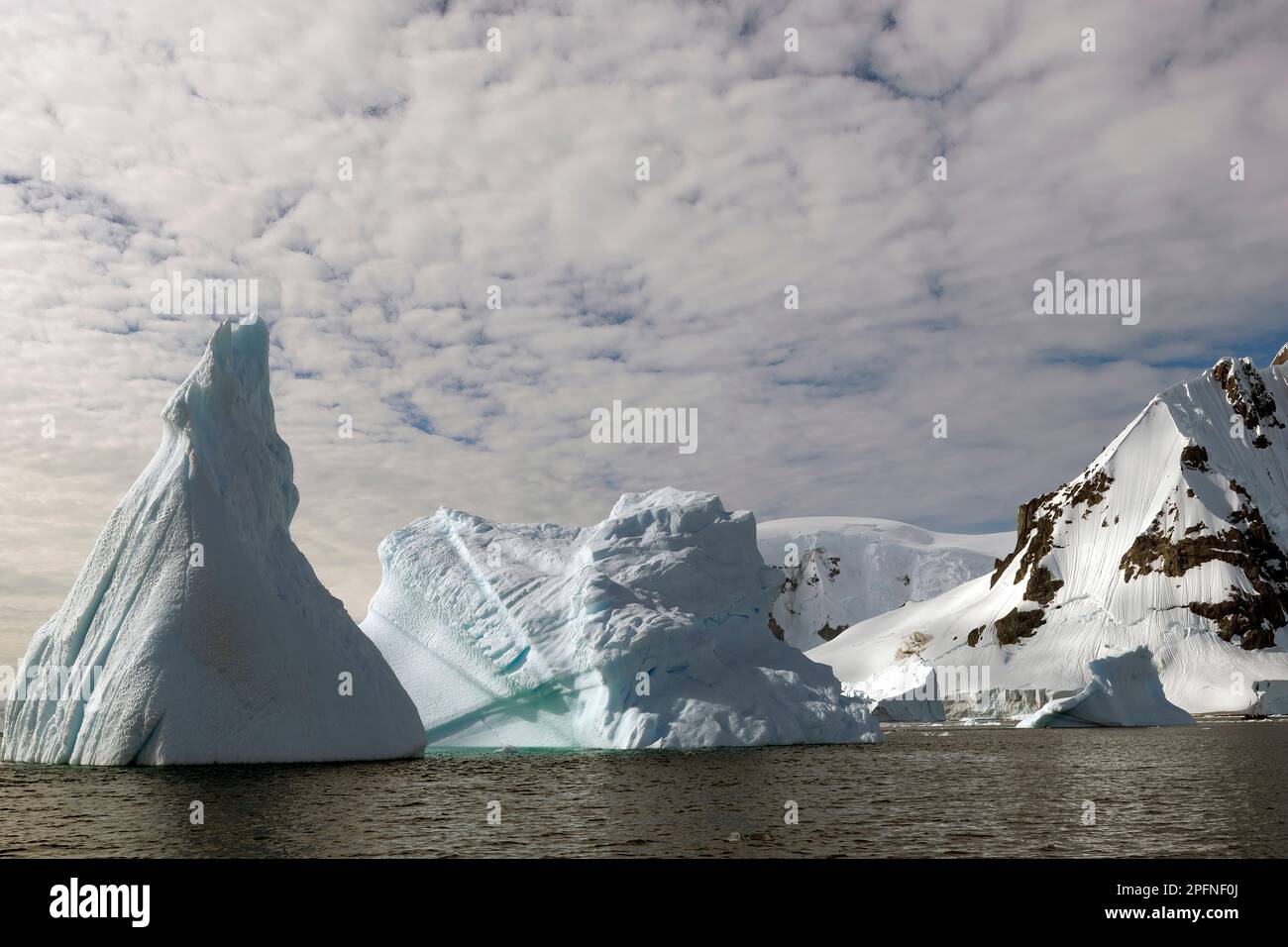 Antarctic Peninsula, Danco island Stock Photo - Alamy