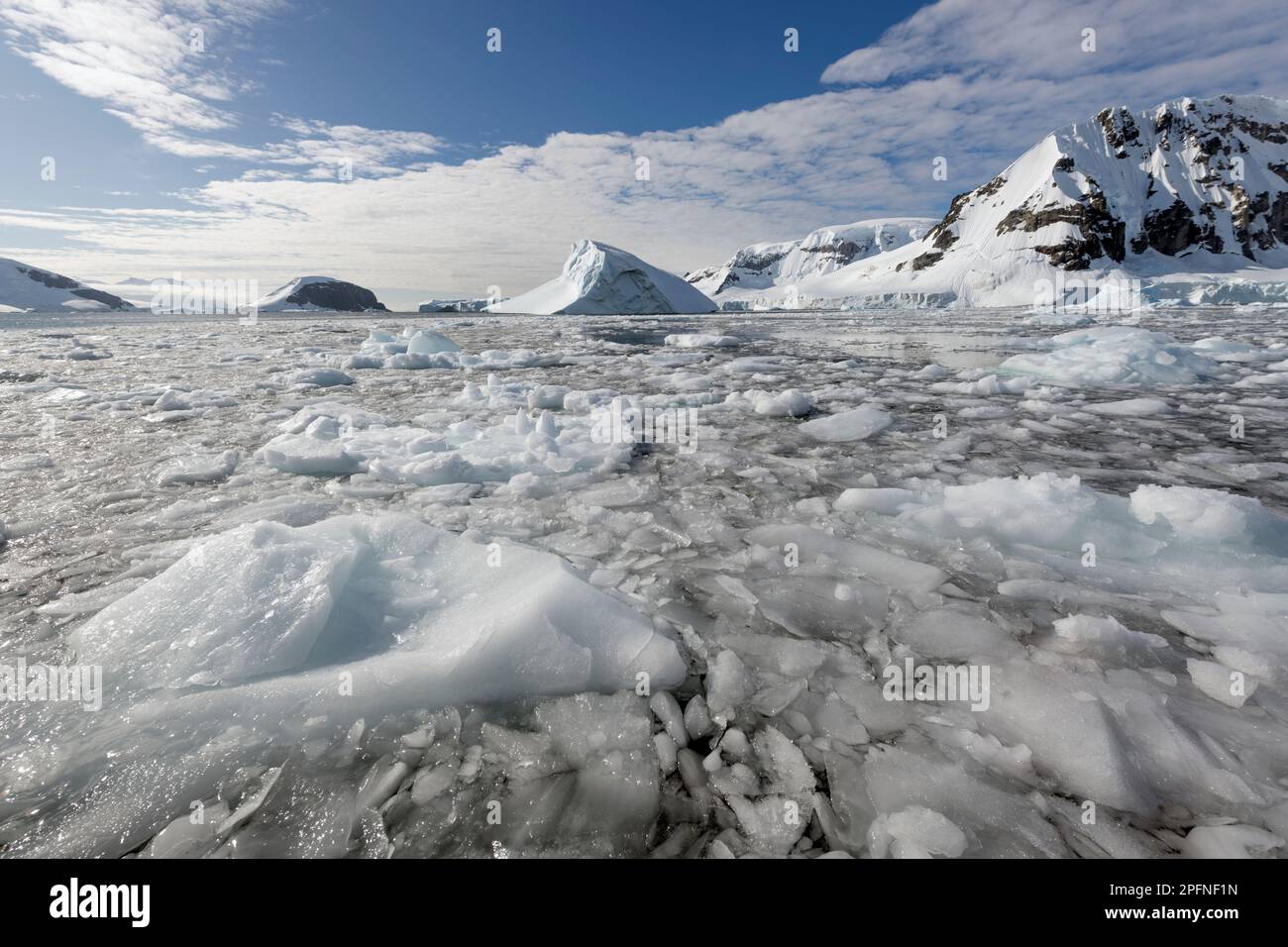 Antarctic Peninsula, Danco island Stock Photo - Alamy