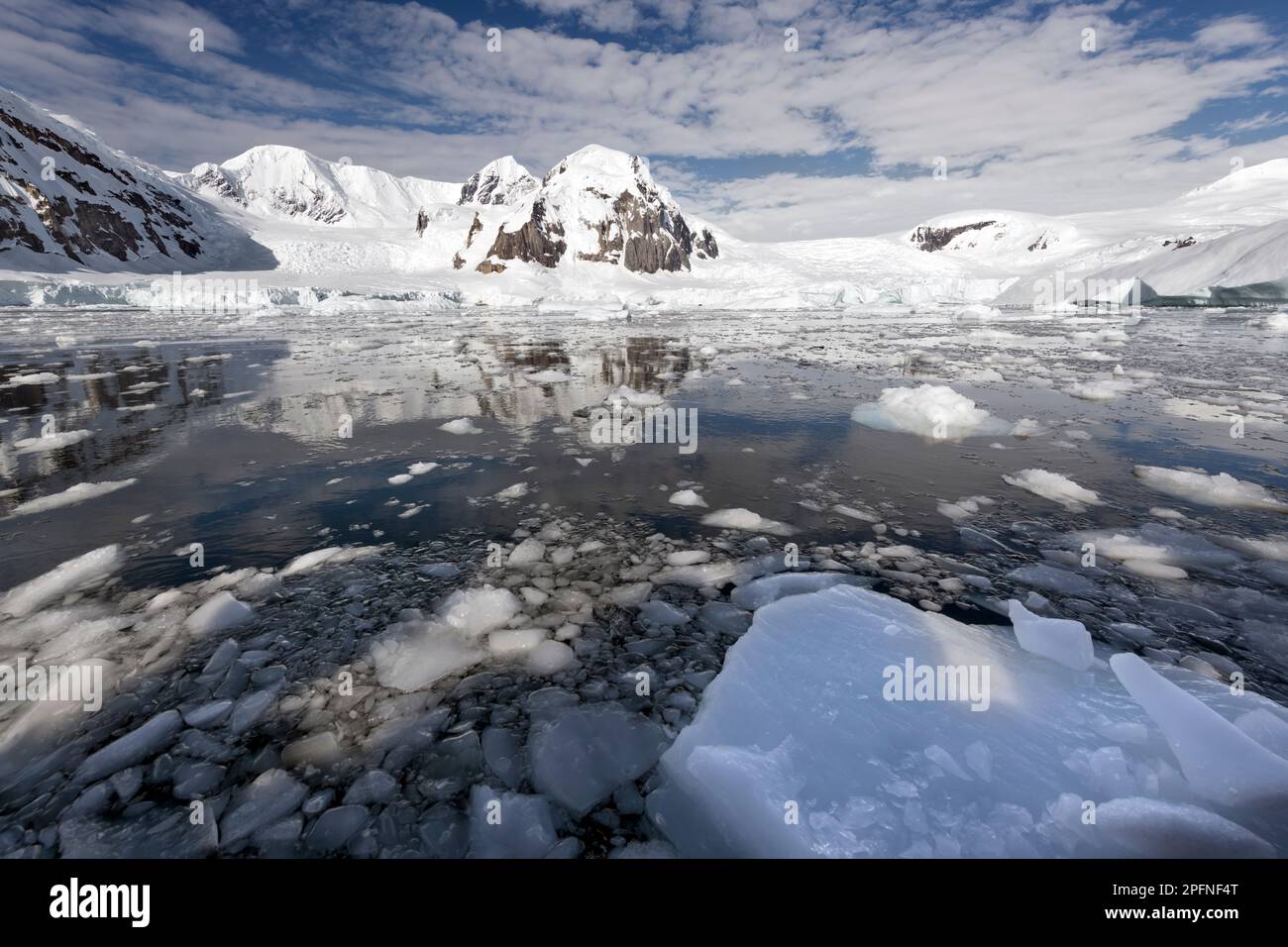 Antarctic Peninsula, Danco island Stock Photo - Alamy