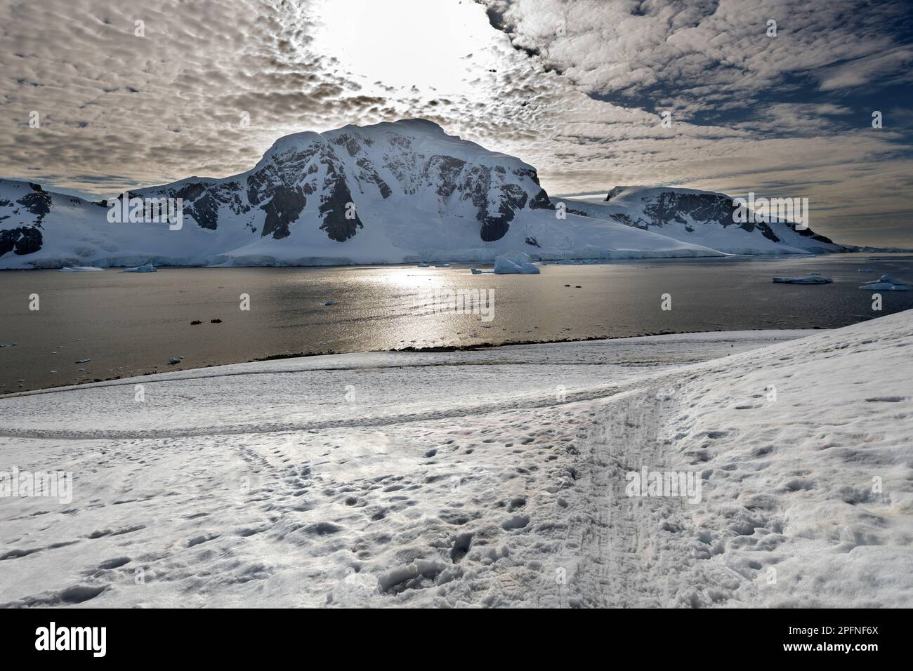 Antarctic Peninsula, Danco island Stock Photo - Alamy