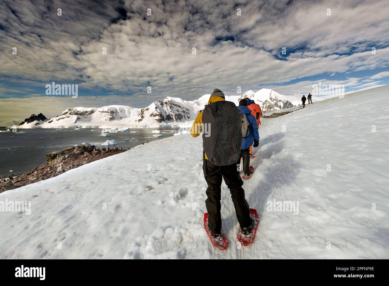 Antarctic Peninsula, Danco island Stock Photo - Alamy