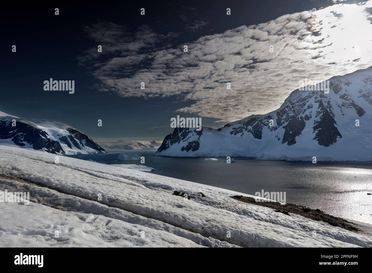 Antarctic Peninsula, Danco island Stock Photo - Alamy