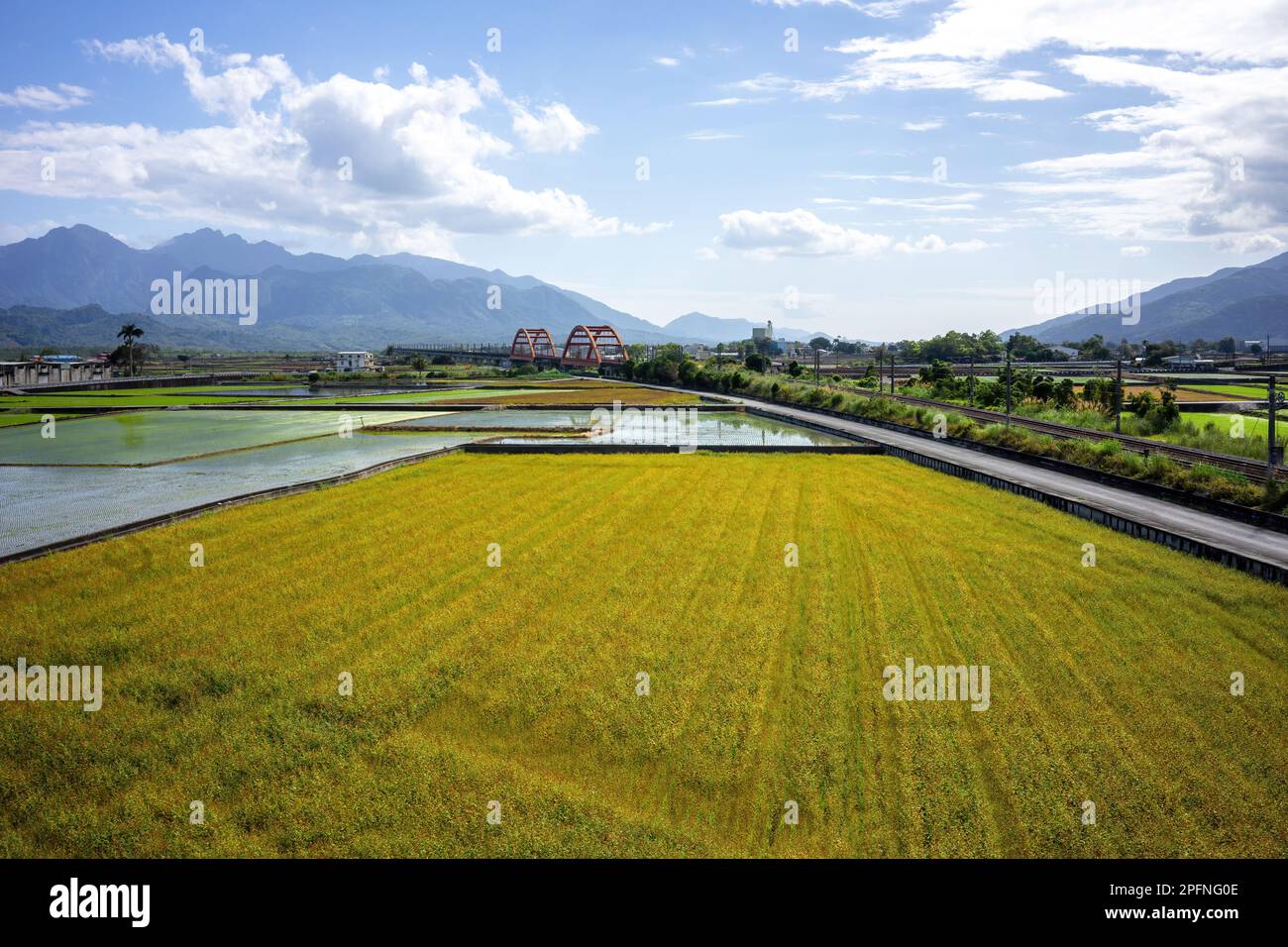 View of the countryside in spring around Yuli Taiwan from above. Green ...