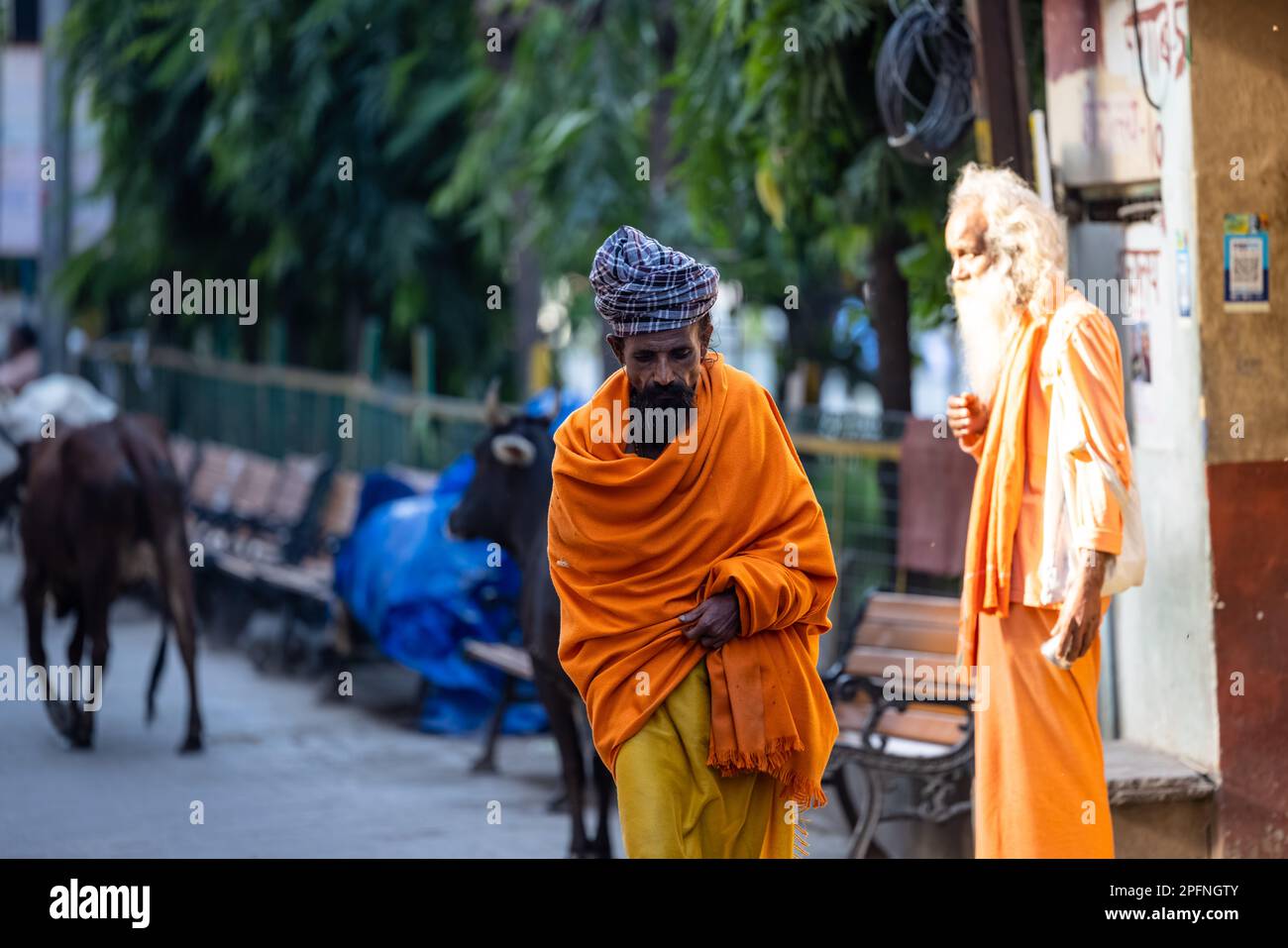 Holy Rishikesh, Portrait of unidentified brahmin male sadhu near river ...