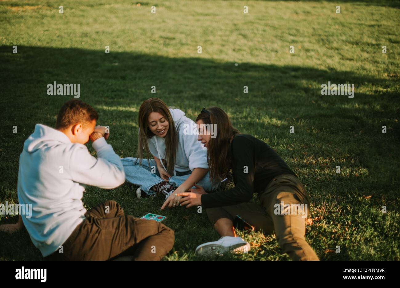 Three happy friends playing ludo at the park while sitting on the grass ...