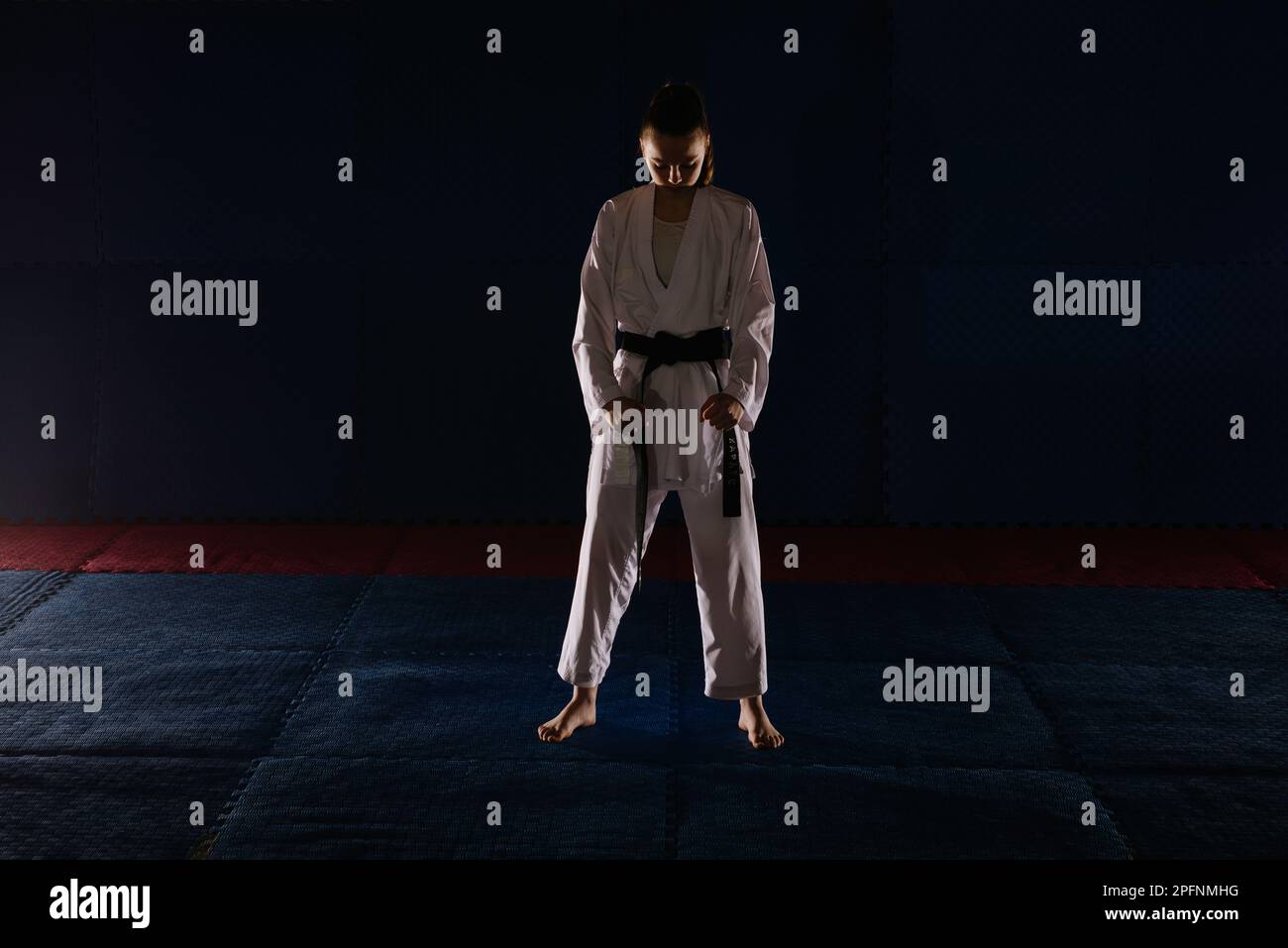 Silhouette of a strong karate girl doing the Uchi Hachiji Dachi pose at the karate studio Stock ...