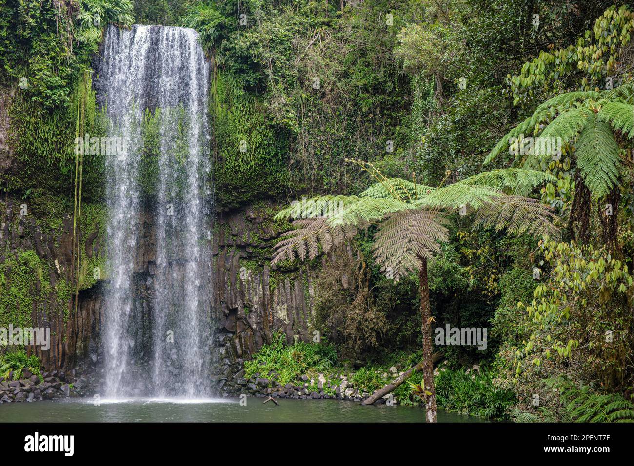 Millaa Millaa Falls, Atherton Tablelands, Queensland, Australia Stock ...