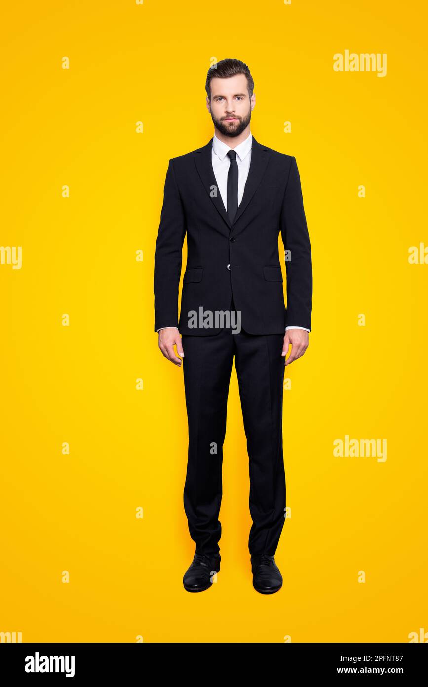 Full size fullbody portrait of concentrated strict business person with ...