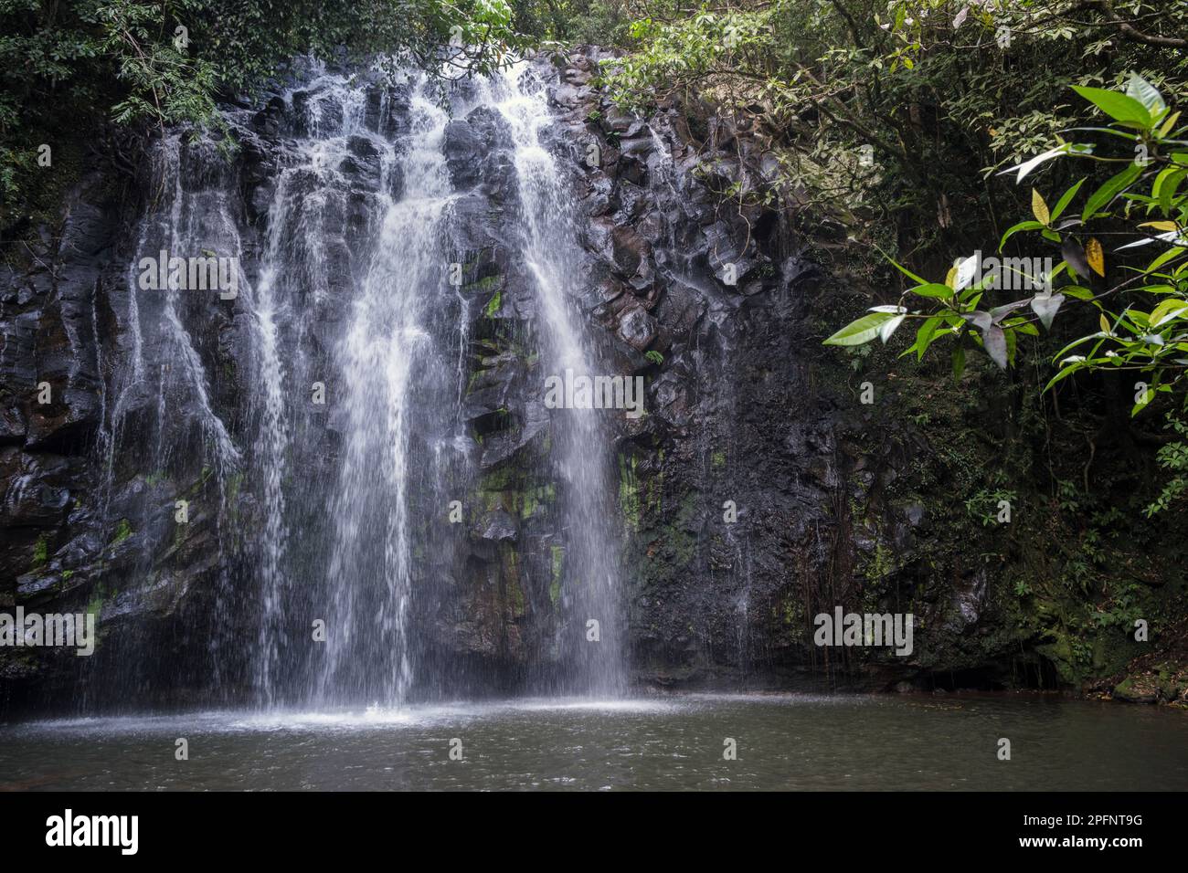 Ellinjaa Falls, Atherton Tablelands, Queensland, Australia Stock Photo ...