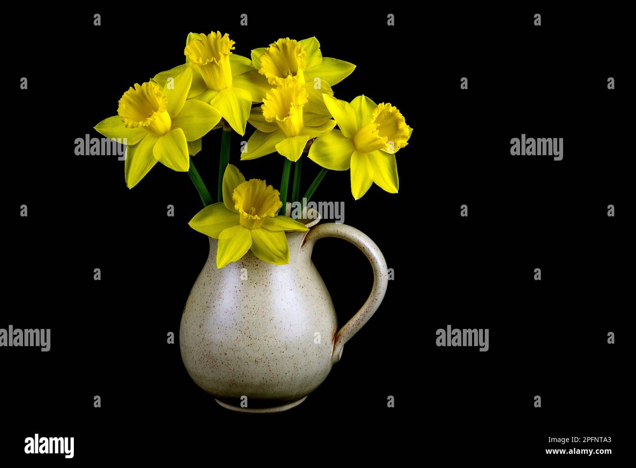Old earthenware wine jug with bunch of daffodils isolated against a black background Stock Photo ...
