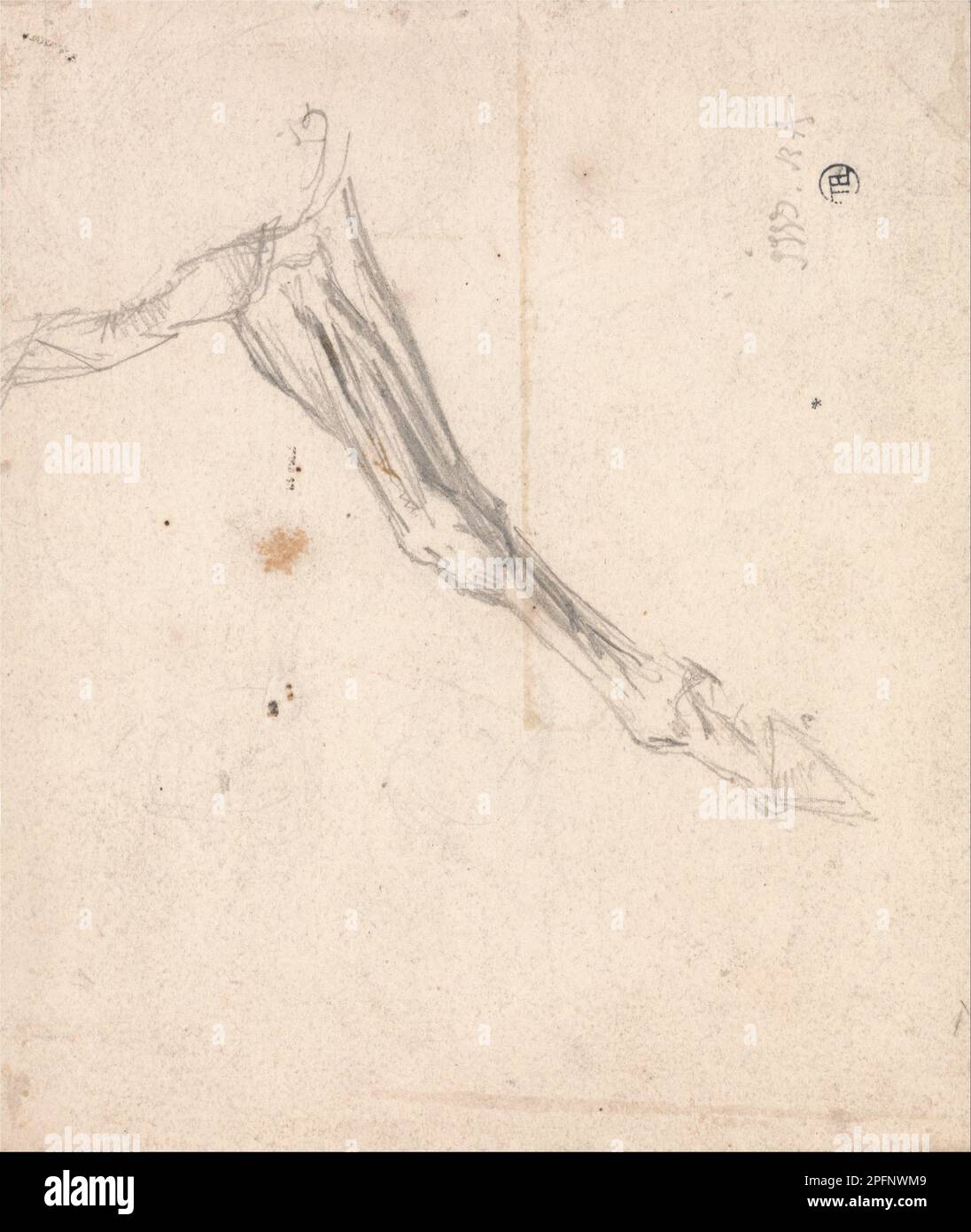 Horse's Foreleg: Possibly a Study for "L'Amour de Cheval", Dated 1827 ...