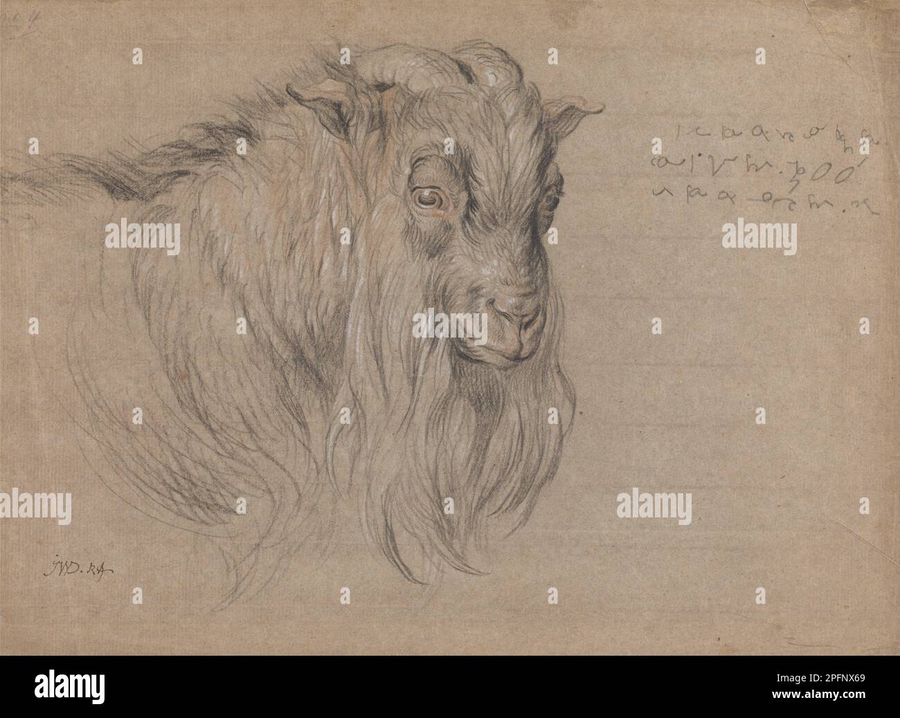 Study of the Head of a Ram by James Ward Stock Photo - Alamy