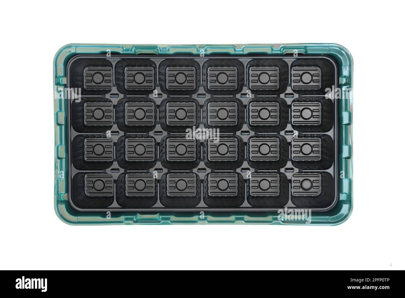 Seed module empty tray for seedlings isolated on white background ...