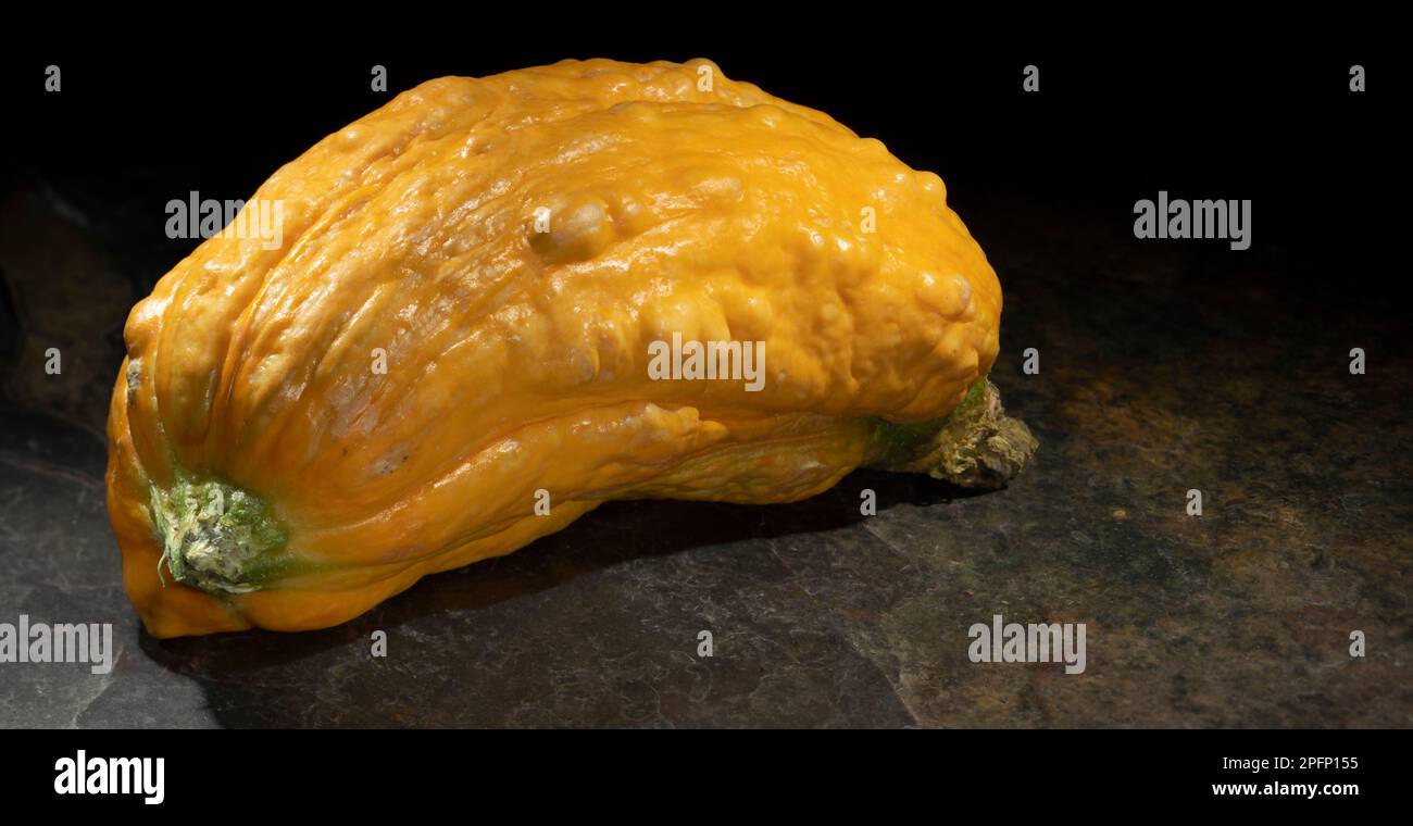 Yellow squash that's grown fat and short on a brown surface Stock Photo ...