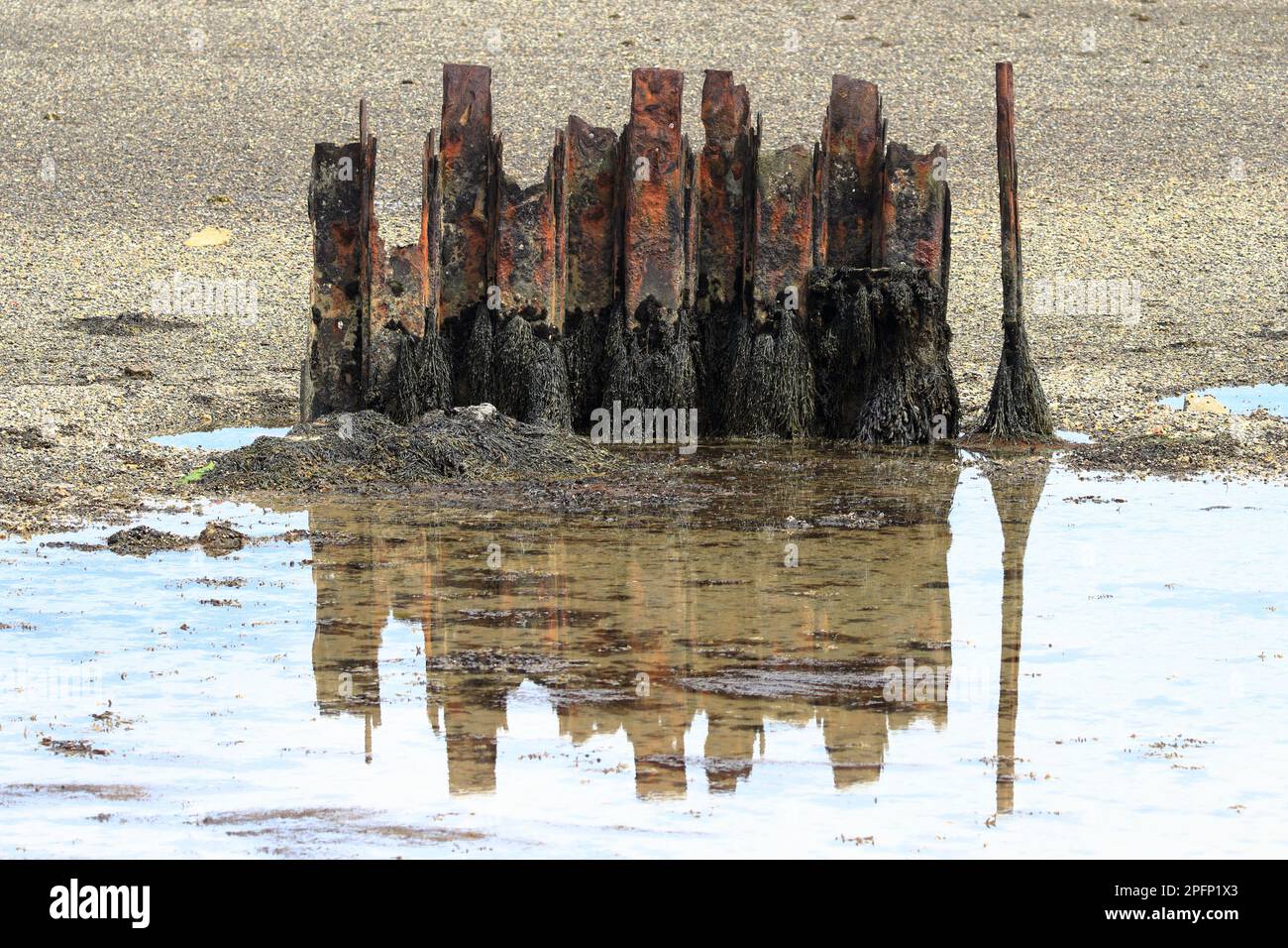Corroding sheet piles on the beach near Lymington with reflections in ...